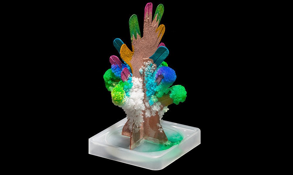 Magic Growing Tree – Dynergy